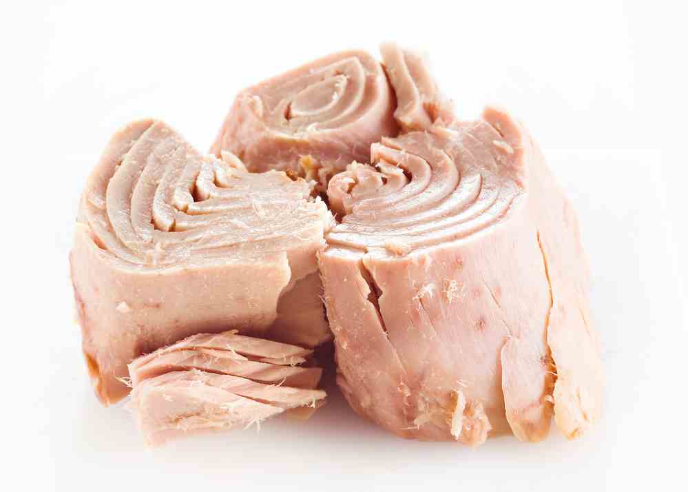 Can Dogs Eat Tuna Fish Everything You Should Know Can Dogs Eat Tuna Fish Everything You Should Know