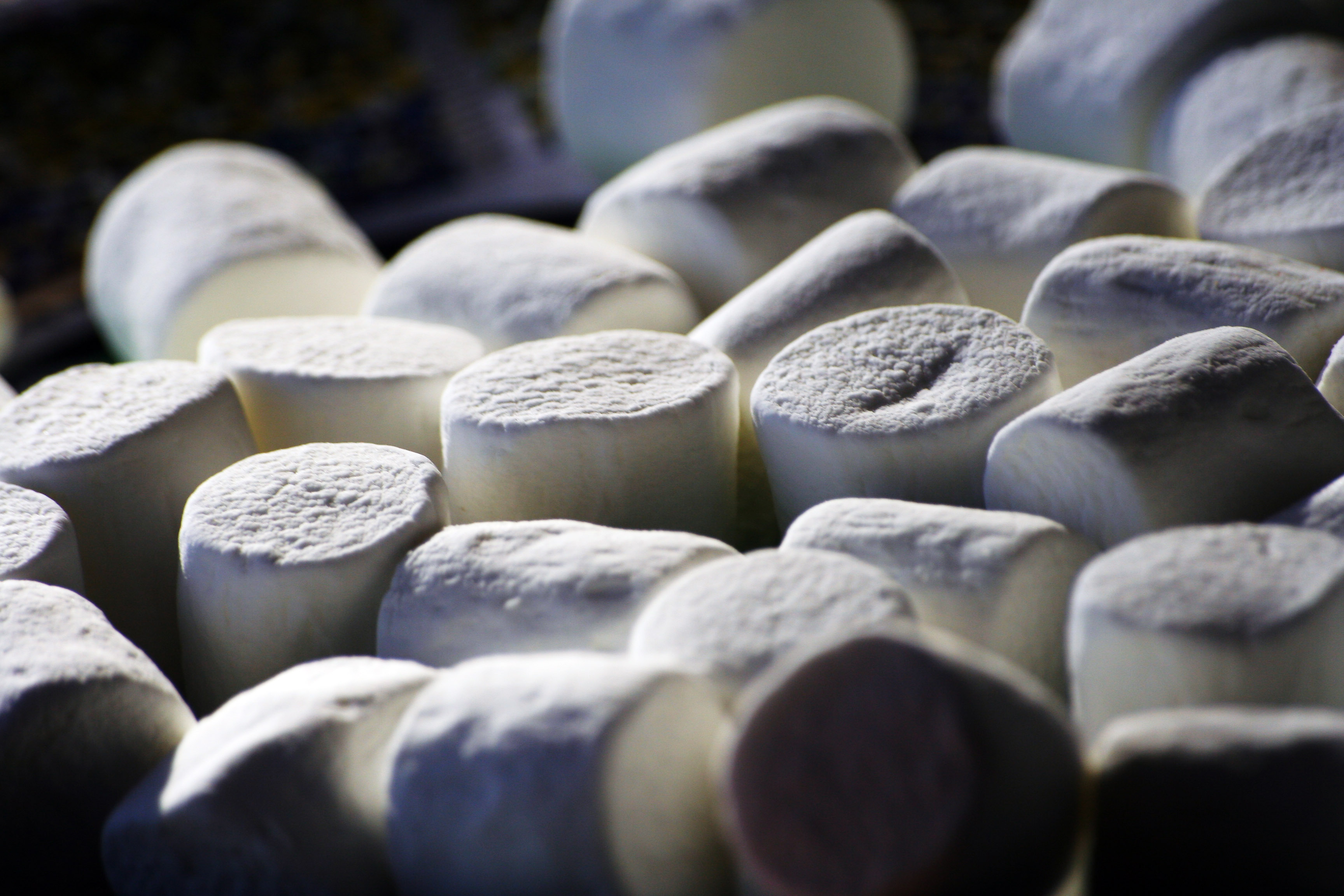 Can Dogs Eat Marshmallows The Truth About Dogs And Marshmallows Can Dogs Eat Marshmallows The Truth About Dogs And Marshmallows